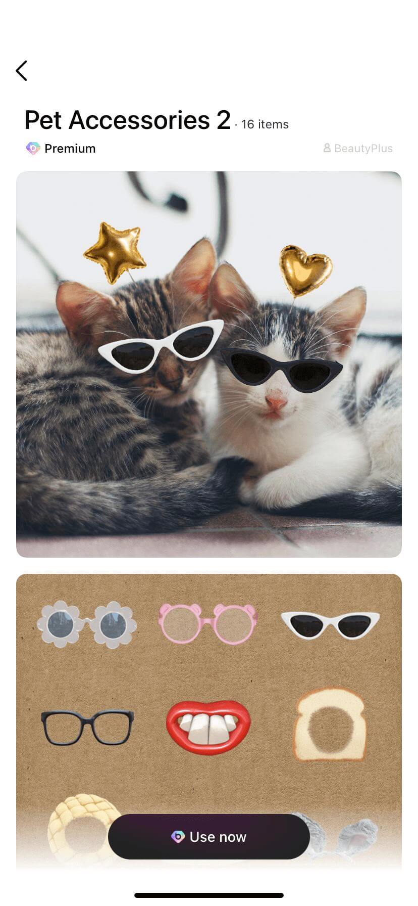 Discover 4 Editing Tips to Make Your Pet Portraits Perfect!