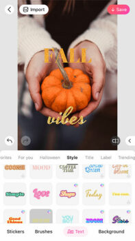 Fall Aesthetic – How to Do Color Adjustment for Fall Photos