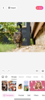 3 Best Ways to Add a Grain Filter to Photos Online